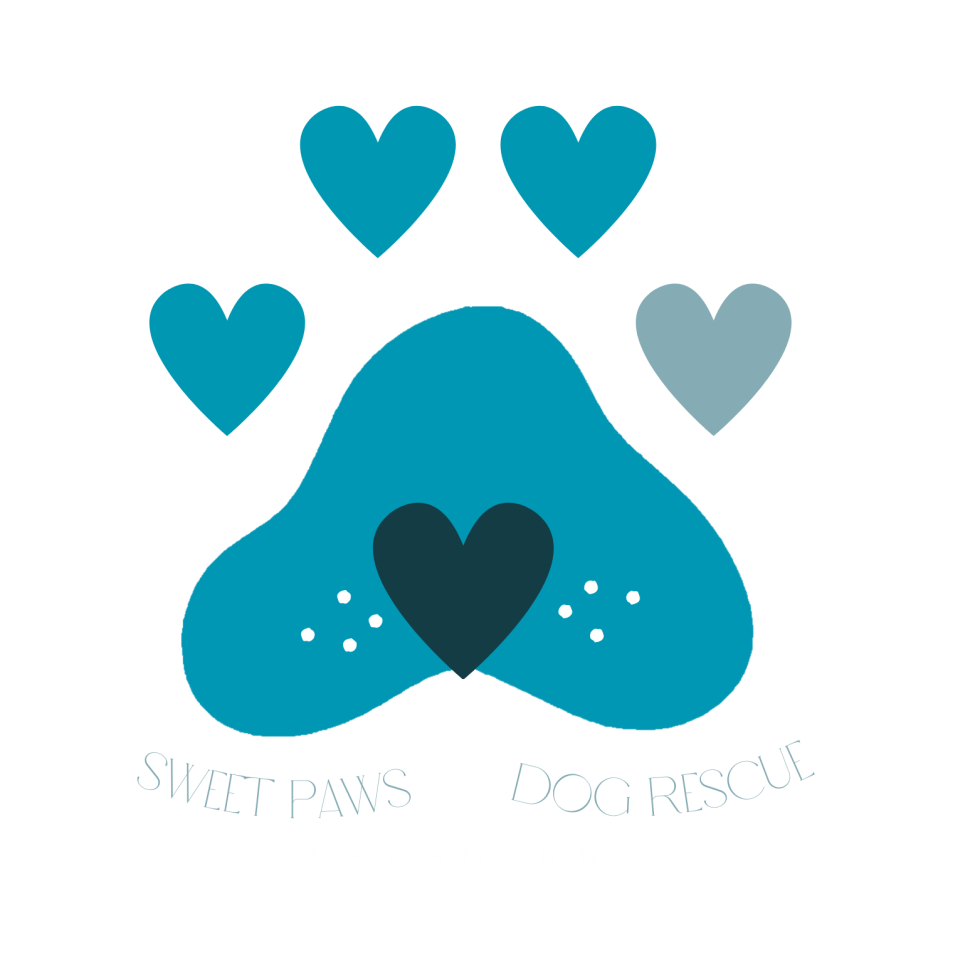 Adopt | Sweet Paws Dog Rescue
